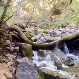Waterfalls of Mount Diablo Loop, California - 2,341 Reviews, Map ...