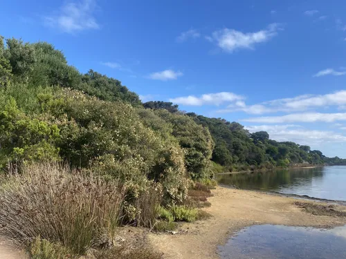 Best Beach Trails in Lorne Queenscliff Coastal Reserve | AllTrails