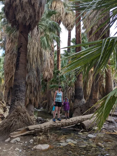 Cahuilla Native American Land - Indian Canyons: de beste routes om te ...