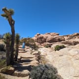 Split Rock Loop, California - 3,158 Reviews, Map | AllTrails