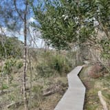 Manly Dam Loop, New South Wales, Australia - 1,058 Reviews, Map | AllTrails