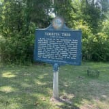 Torreya Trail, Florida - 438 Reviews, Map | AllTrails