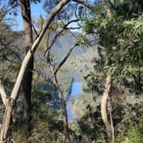 Bungonia Gorge Circuit, New South Wales, Australia - 140 Reviews, Map ...