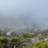 Mount Murchison Track, Tasmania, Australia - 325 Reviews, Map | AllTrails