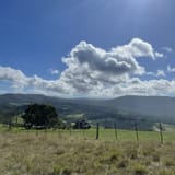 Long Gully Track Loop, Victoria, Australia - 47 Reviews, Map | AllTrails