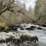 Boulder River Trail, Washington - 1,809 Reviews, Map | AllTrails