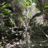 Sigua Falls, Agana Heights, Guam - 566 Reviews, Map | AllTrails