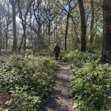 Banstead Woods Nature Circular, Surrey, England - 703 Reviews, Map ...