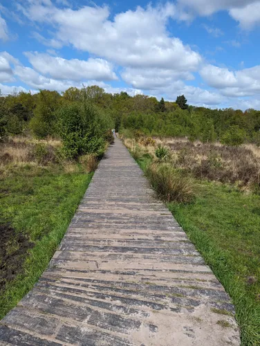 Best Hikes and Trails in Whitmoor Common | AllTrails