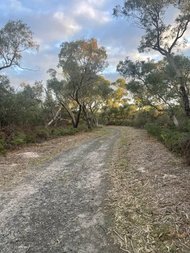 Best Hikes and Trails in Blind Bight | AllTrails