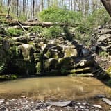 High Rocks, Pennsylvania - 2,958 Reviews, Map | AllTrails