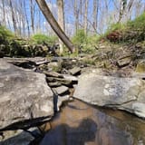 High Rocks, Pennsylvania - 2,958 Reviews, Map | AllTrails