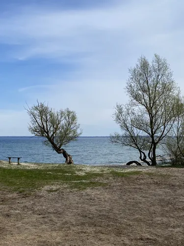 Best Walking Trails in Humlebæk | AllTrails