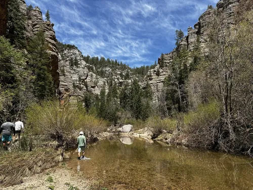 Best River Trails in Happy Jack | AllTrails