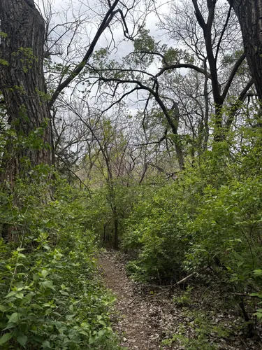 Best Hikes and Trails in Lemon Park | AllTrails