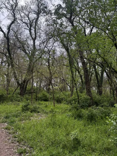 Best Hikes and Trails in Lemon Park | AllTrails