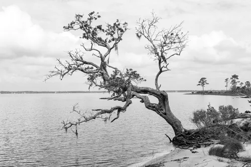Best Hikes and Trails in Escribano Point Wildlife Management Area ...