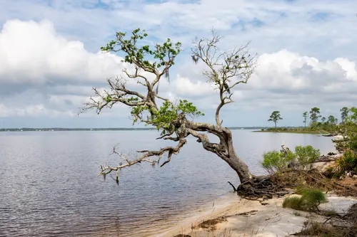 Best Hikes and Trails in Escribano Point Wildlife Management Area ...