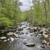 Southern Loop via Western Ridge Trail, Rock Creek, Valley Trail ...