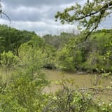 Navasota River Trail, Texas - 145 Reviews, Map | AllTrails