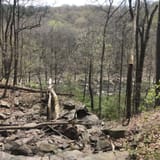 High Rocks, Pennsylvania - 3,003 Reviews, Map | AllTrails