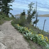 Tubbs Hill, Idaho - 4,046 Reviews, Map | AllTrails