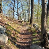 Peters Mountain Ridge via Appalachian Trail, Pennsylvania - 1,542 ...