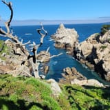 Point Lobos Loop, California - 7,588 Reviews, Map | AllTrails