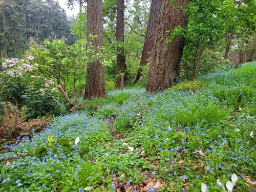 Best Hikes and Trails in Hendricks Park | AllTrails