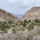 Basin Loop Trail, Texas - 1,110 Reviews, Map | AllTrails