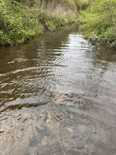 Best Hikes and Trails in Yarwell Mill Country Park | AllTrails