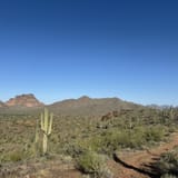 Coon Bluff Trail, Arizona - 775 Reviews, Map | AllTrails