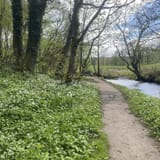 Yarrow Valley Country Park Circular, Lancashire, England - 327 Reviews ...
