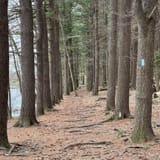 Giuffrida Park Loop, Connecticut - 1,627 Reviews, Map | AllTrails