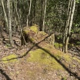 Long Branch Loop Trail, Georgia - 2,269 Reviews, Map | AllTrails