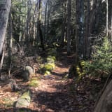Devil’s Back Trail, Maine - 359 Reviews, Map | AllTrails