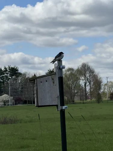 Best Hikes and Trails in Metea Park | AllTrails