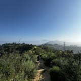 Runyon Canyon Trail, California - 8,211 Reviews, Map | AllTrails