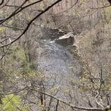 High Rocks, Pennsylvania - 3,003 Reviews, Map | AllTrails