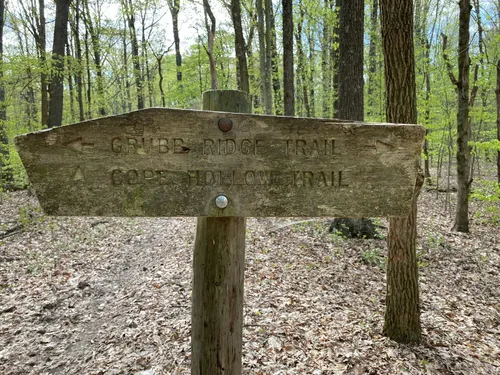 Best Horseback Riding Trails in Charles C. Deam Wilderness | AllTrails