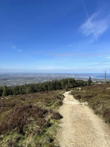 Best Trail Running Trails in Glencullen Adventure Park | AllTrails