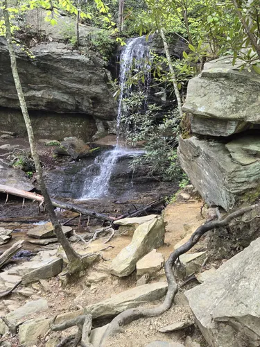 Best Waterfall Trails in Walnut Cove | AllTrails