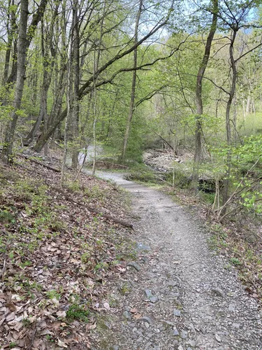 Best Walking Trails in Chesterbrook | AllTrails