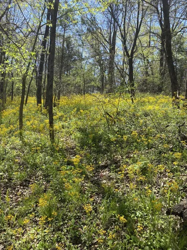 Best Hikes and Trails in Unity Village | AllTrails