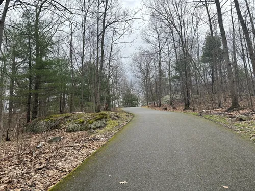 Best Easy Trails in Breakheart Reservation | AllTrails