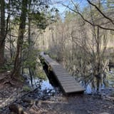 Beaver Brook Trail, Eastman Meadow Trail, and Maple Hill Ridge Loop ...