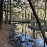 Beaver Brook Trail, Eastman Meadow Trail, and Maple Hill Ridge Loop ...