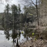 Beaver Brook Trail, Eastman Meadow Trail, and Maple Hill Ridge Loop ...