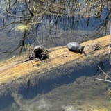 Reeds Lake Trail, Michigan - 998 Reviews, Map | AllTrails