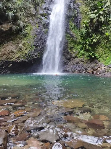 Best Waterfall Trails in Parc Naturel Régional de la Martinique | AllTrails